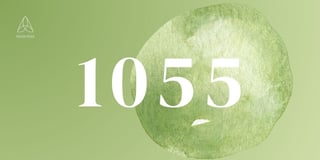 1055 Angel Number Meaning, Love Twin Flame, Spirituality