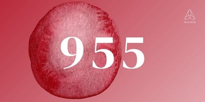 955 Angel Number, Spirituality, Twin Flame, Career, Love