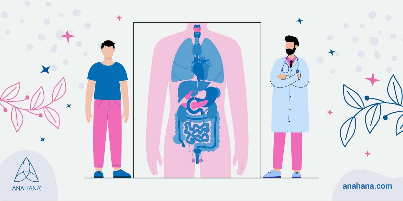 Hva er det endokrine systemet - kjertler og hormoner forklart