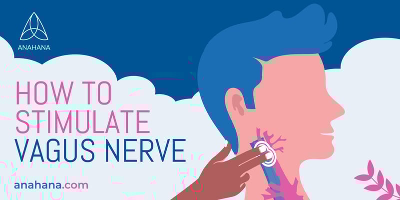 Hva er vagusnerven? - Ansvarlig for, koblet til, i kroppen