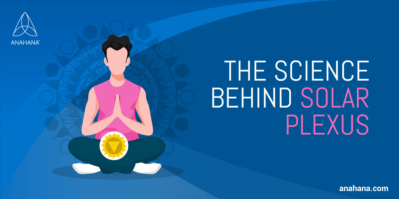 Where is the Solar Plexus - Pain, Diagram, Anatomy, Location, Function