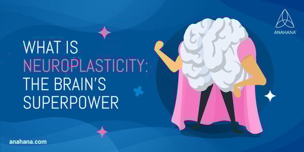 What Is Neuroplasticity - How Does It Work, In Simple Terms, Examples