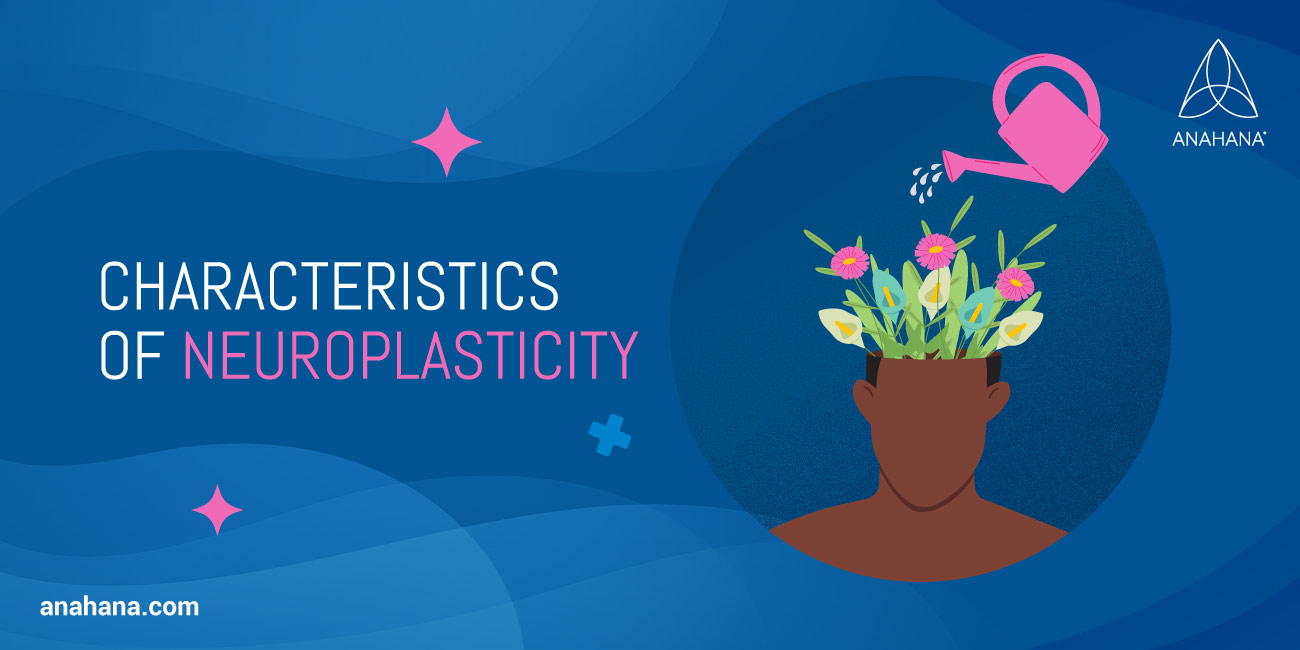 What Is Neuroplasticity - How Does It Work, In Simple Terms, Examples