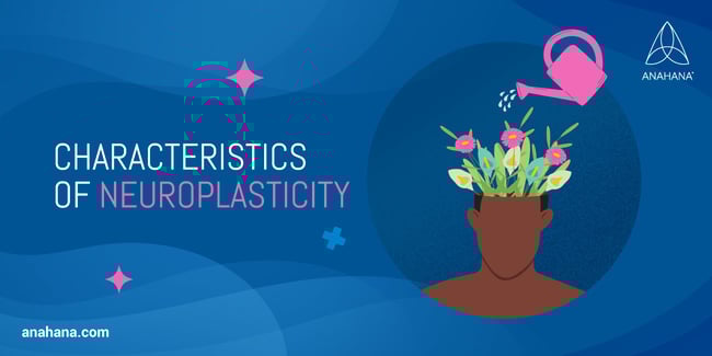 What Is Neuroplasticity - How Does It Work, In Simple Terms, Examples