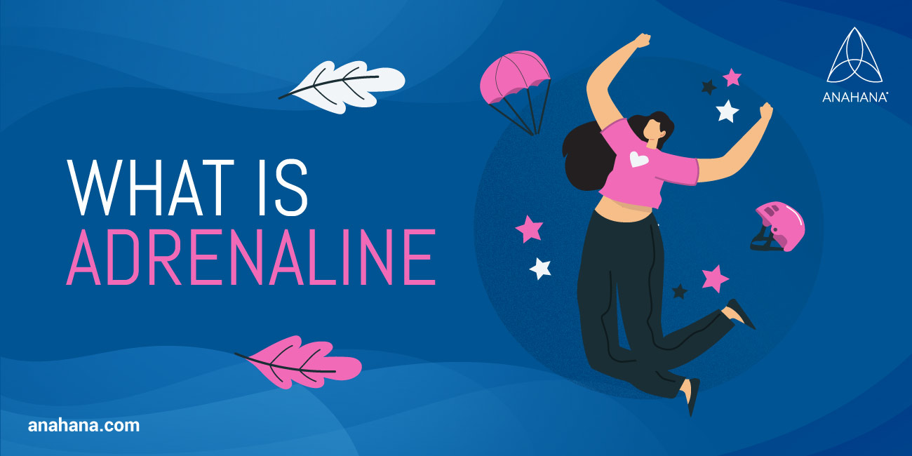 Adrenaline, Rush, Function, Meaning, Sport, Action, Hormones