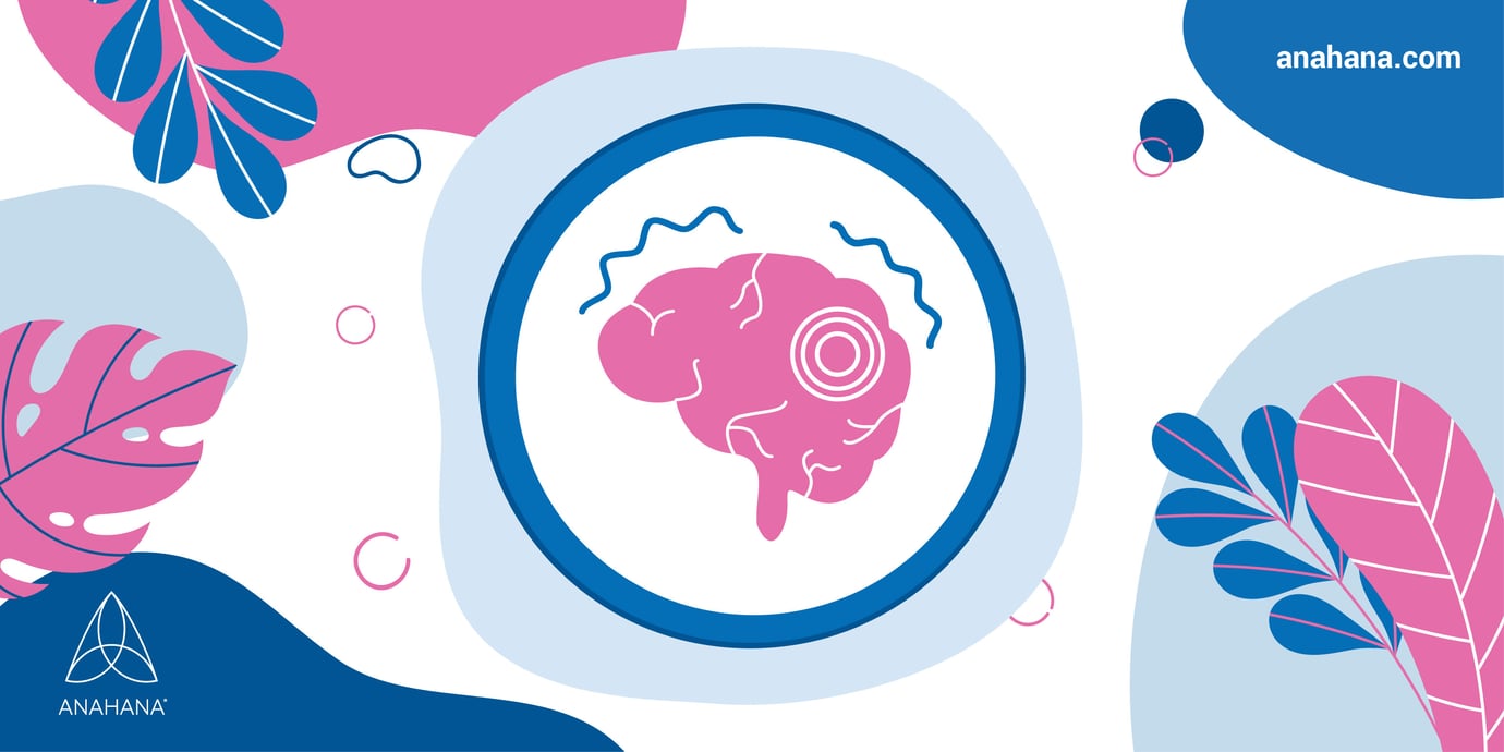 Somatic Nervous System Functions Definition Psychology Examples 