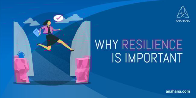 Resilience: Understanding & Developing, Theory, Factors