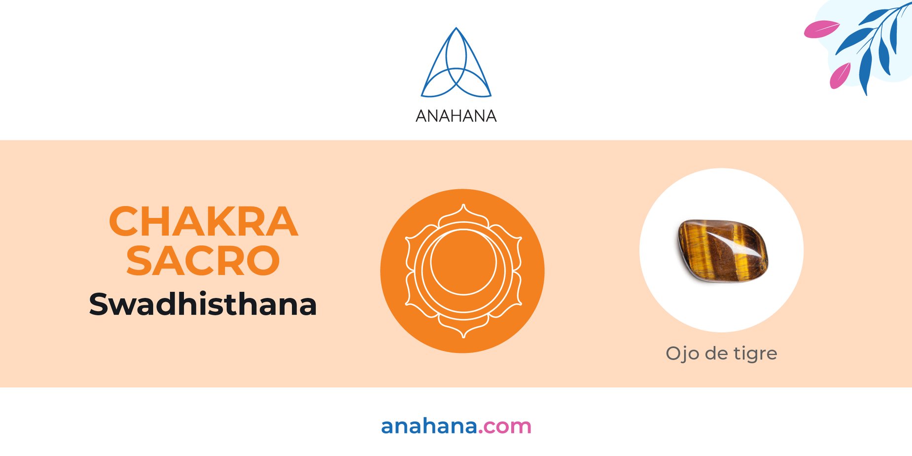 Símbolos de los chakras: 7 Chakras y el significado de los símbolos