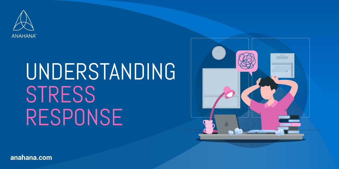 Stress Response - What It Is & How To Handle It
