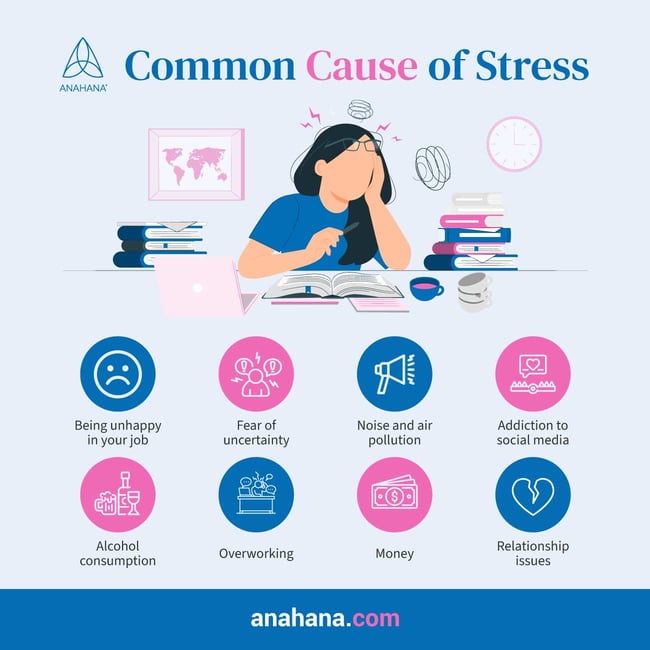 Stress Explained: Identify Causes, Effects, and Solutions