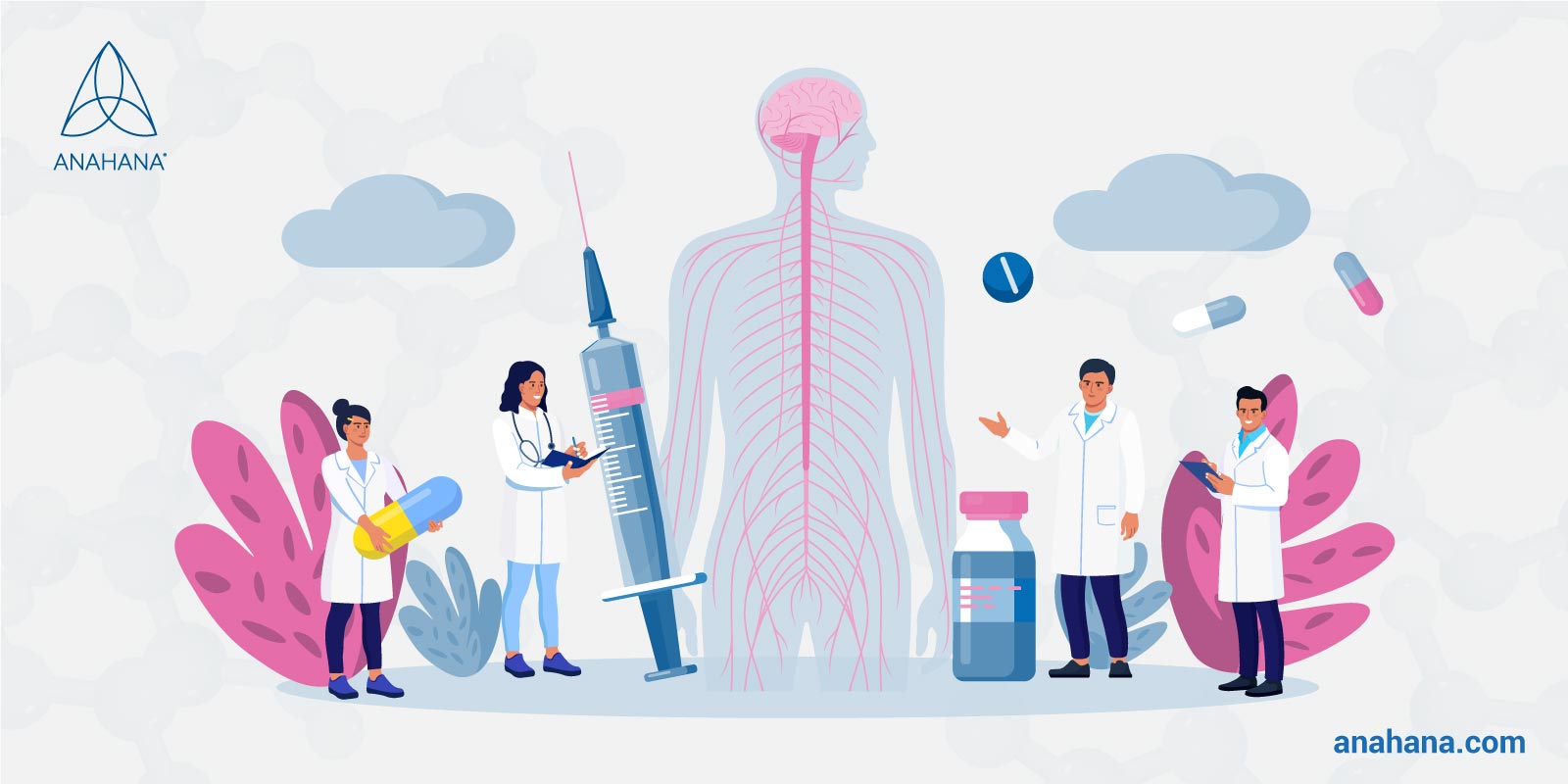 What is the Sympathetic Nervous System - Stress Response Functions