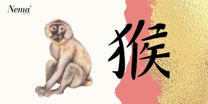 Year of the Monkey: Swinging Through Wit and Mischief