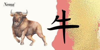 Year of the Ox: Steadfast Strength in the Chinese Zodiac