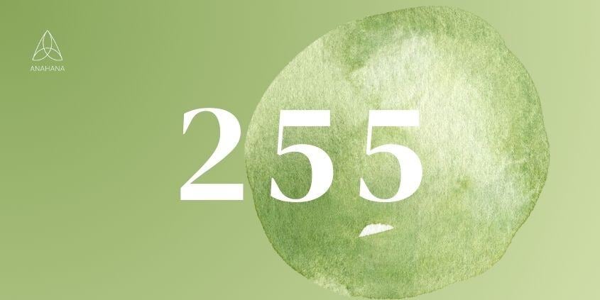 255 angel number meaning, love life, twin flame, spirituality