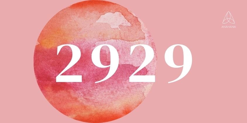 2929 Angel Number Meaning, Spirituality, Twin Flame, Love, Money