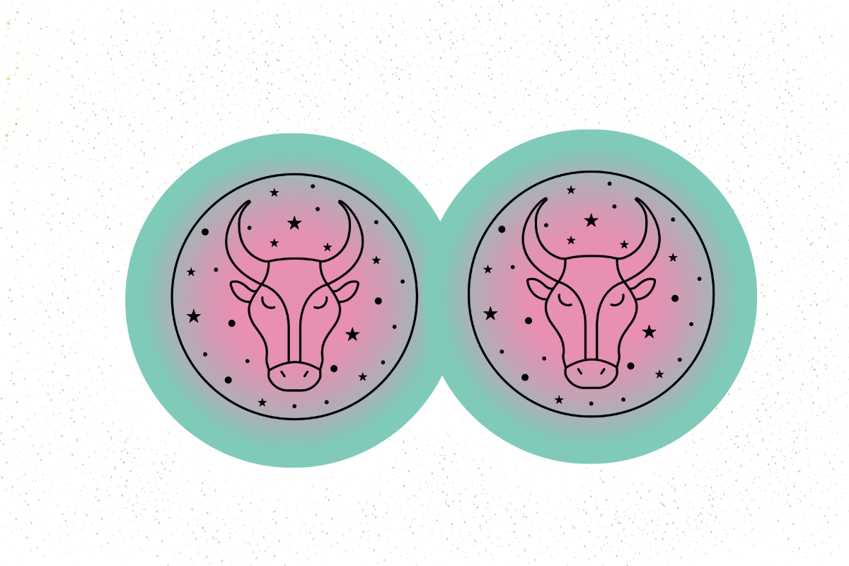 Stier en Stier compatibiliteit: Gebouwd om lang mee te gaan?