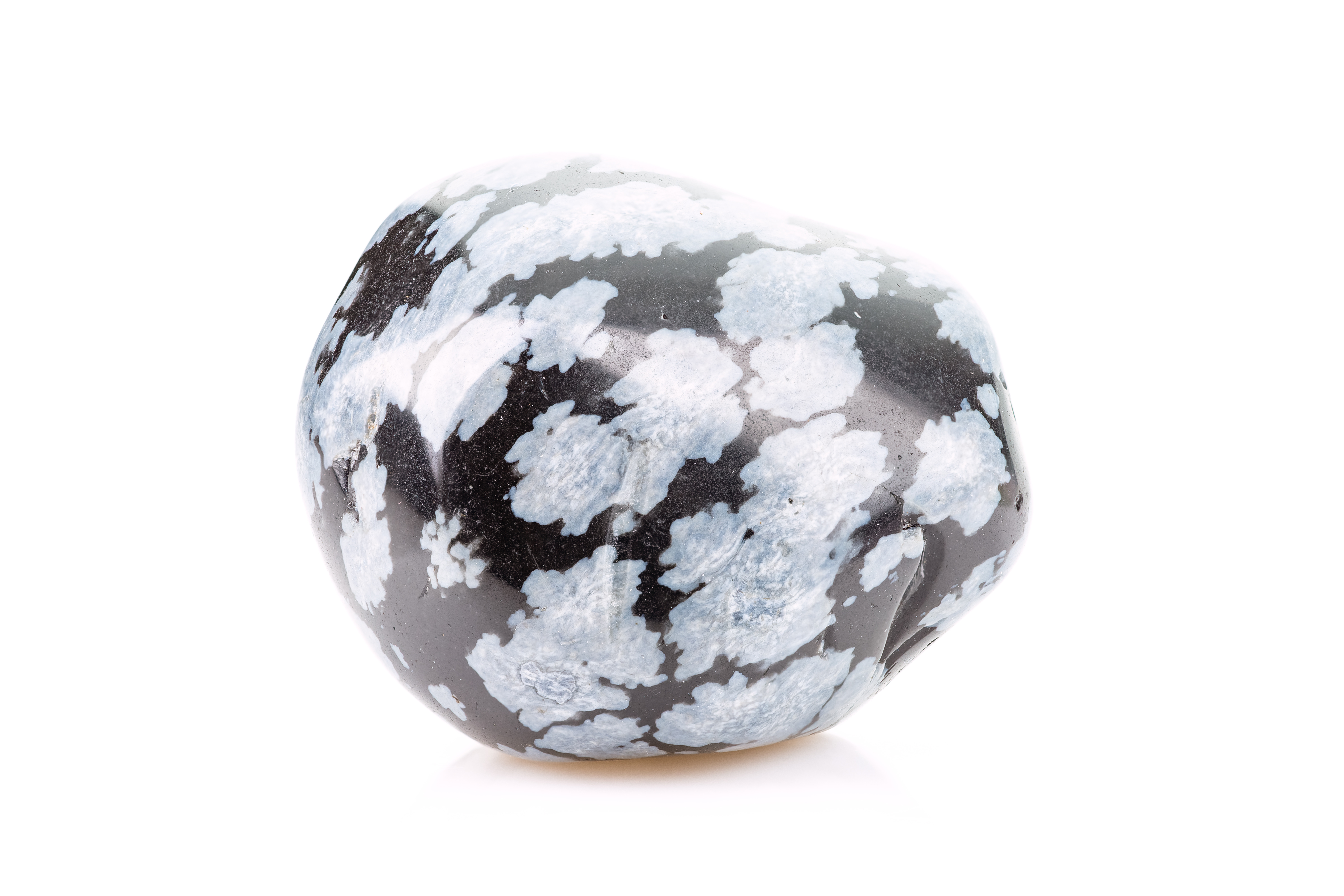 Embrace Grounding Power with Snowflake Obsidian Stone