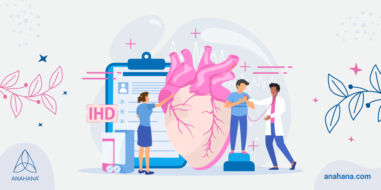 Apa itu Sistem Peredaran Darah | Anahana